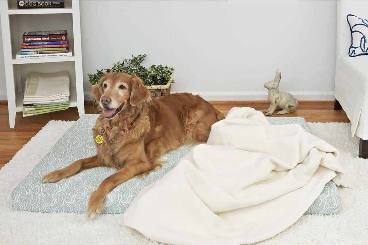 Organic Cotton Washable Dog Beds – All Natural Dog Beds